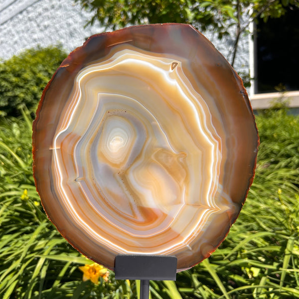 Agate Slices Natural on Stand – Quasar Gems