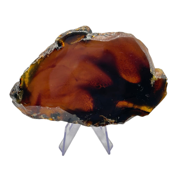 Amber Slabs – Quasar Gems