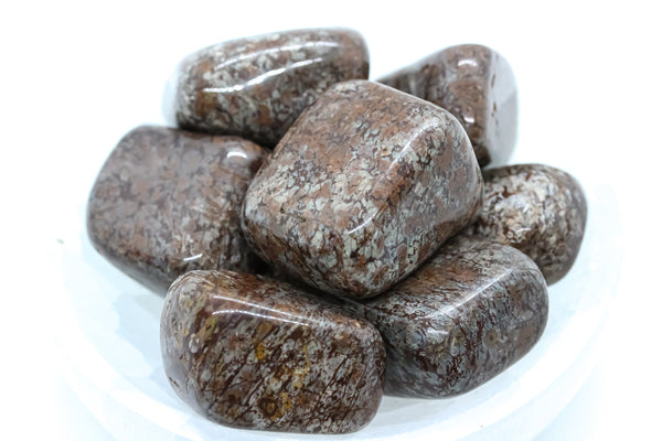 Brown Snowflake Obsidian Tumbled 30-45mm – Quasar Gems
