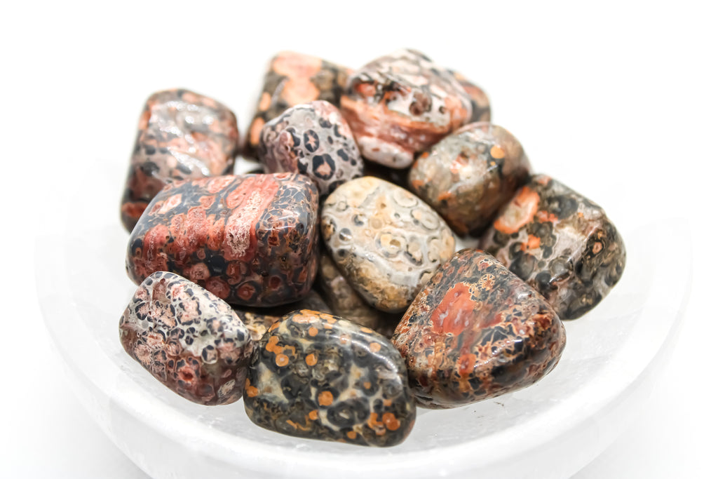 Leopard Skin Tumbled 20-30mm – Quasar Gems